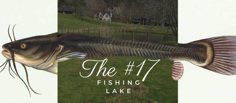 97.5 WQBE | Twenty-Four Carrot Country